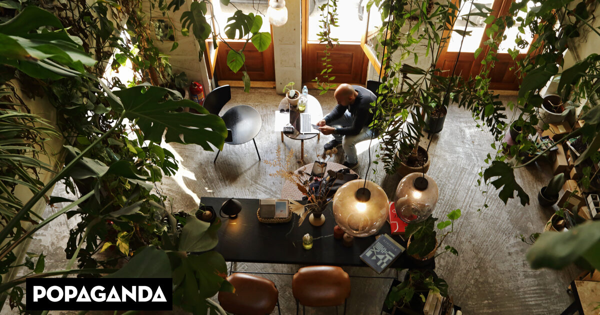 Minu: Μια πράσινη όαση στην καρδιά της Αθήνας